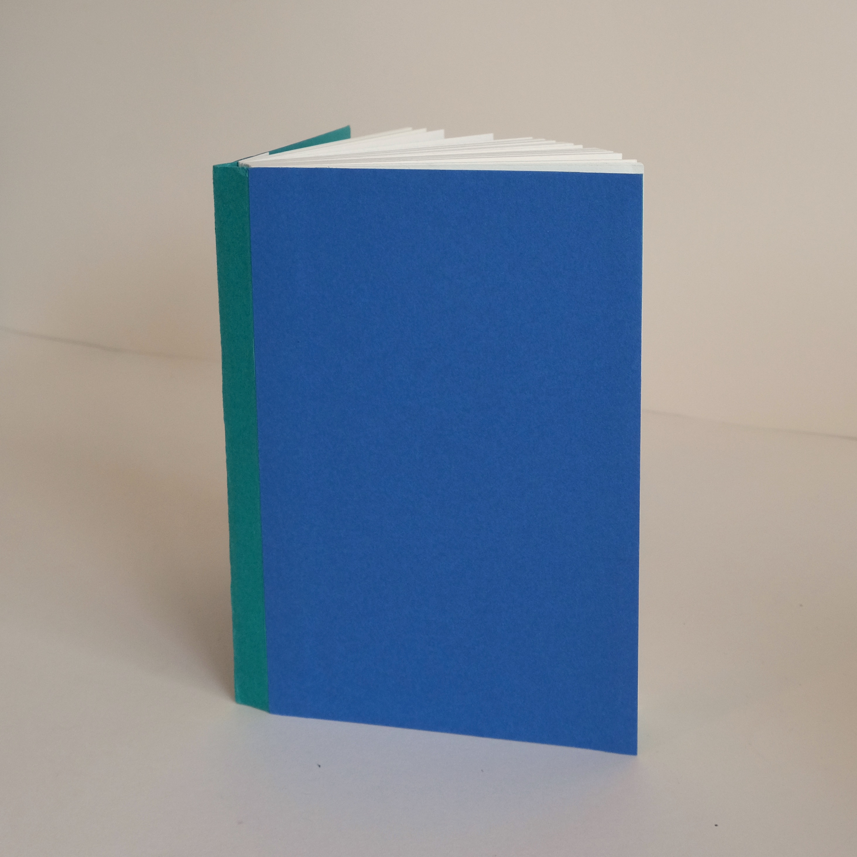 Fern Notebook - A C H A R A Stationery